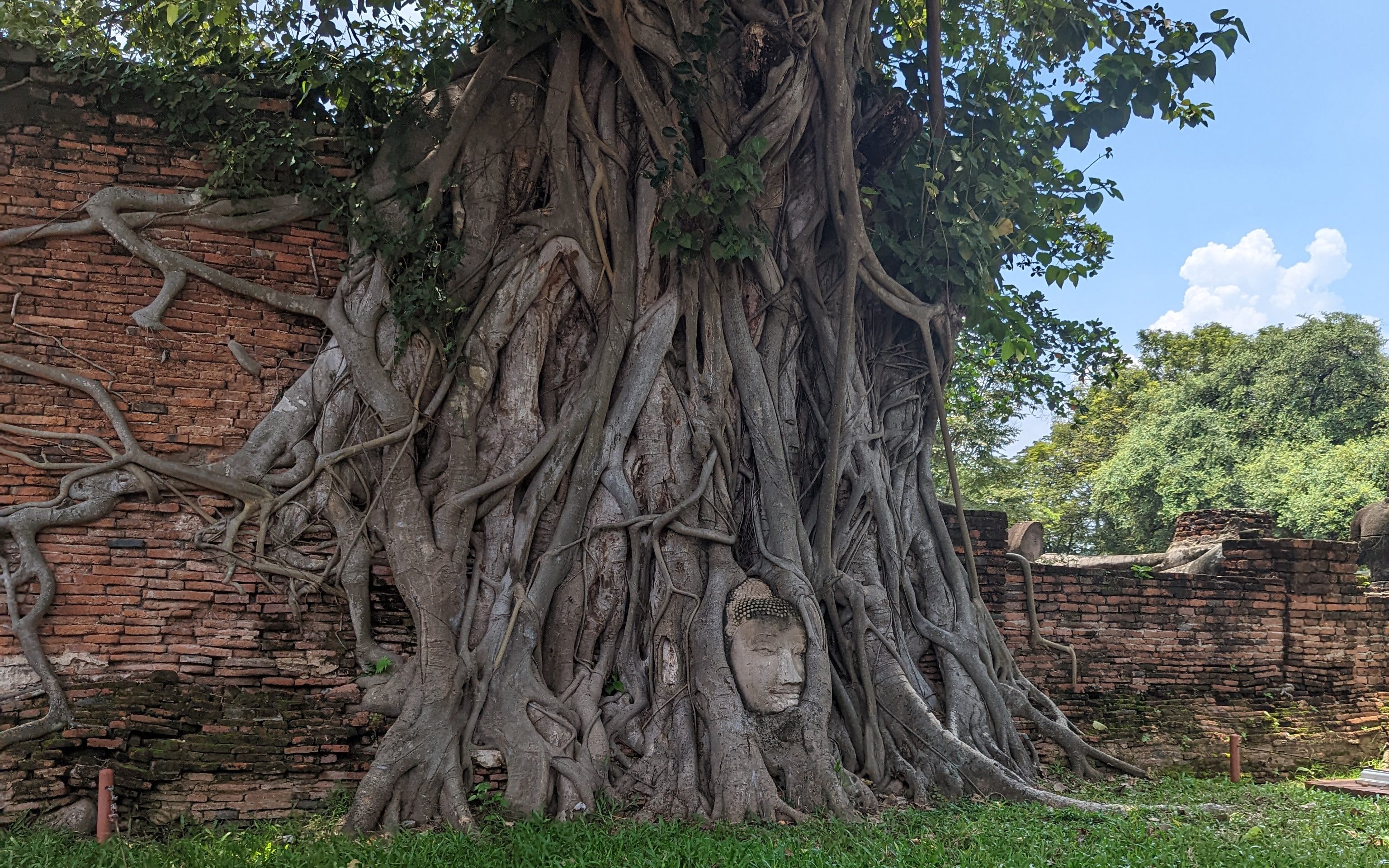 10 Things to Know Before Visiting Thailand – Happy Lil’ Traveller